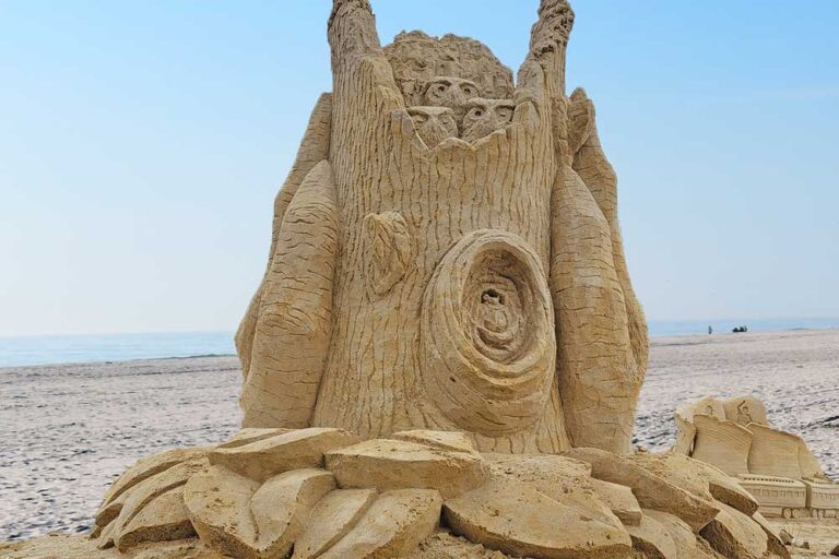 The Ultimate Guide On How To Perfectly Build A Sandcastle