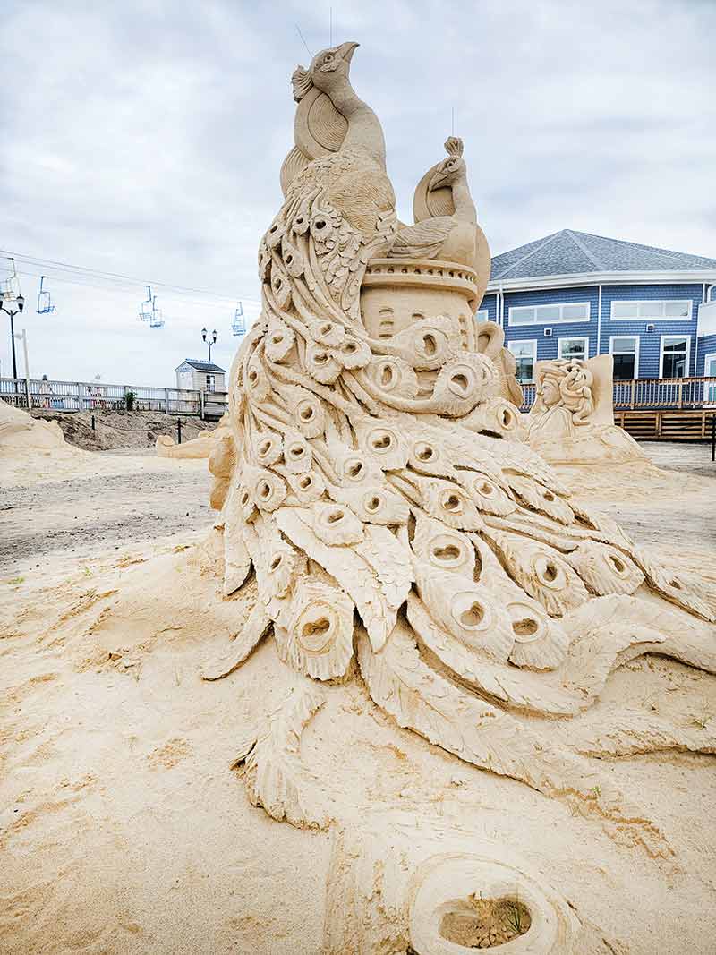The Ultimate Guide On How To Perfectly Build A Sandcastle